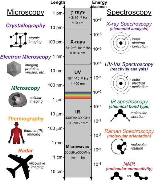Microscopy Archives Practically Science Microscopy Archives Practically Science