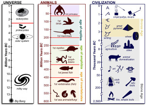 Timelines Archives - Practically Science